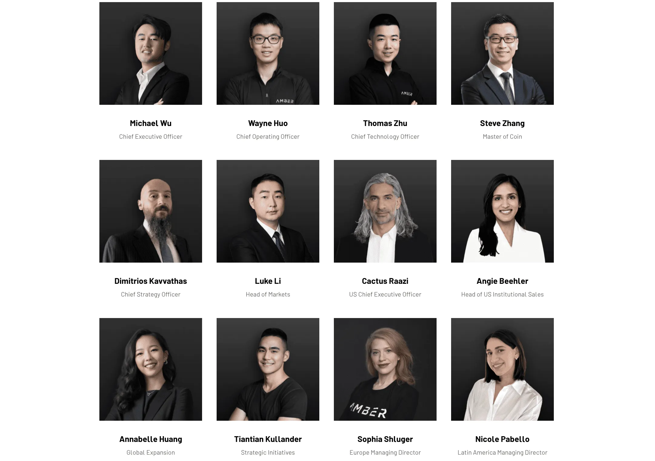 Amber Group - All information about Amber Group ICO (Token Sale) - ICO ...